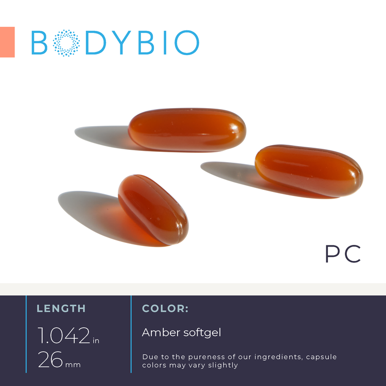 Phosphatidylcholine Supplement: Softgels & Liquid | BodyBio